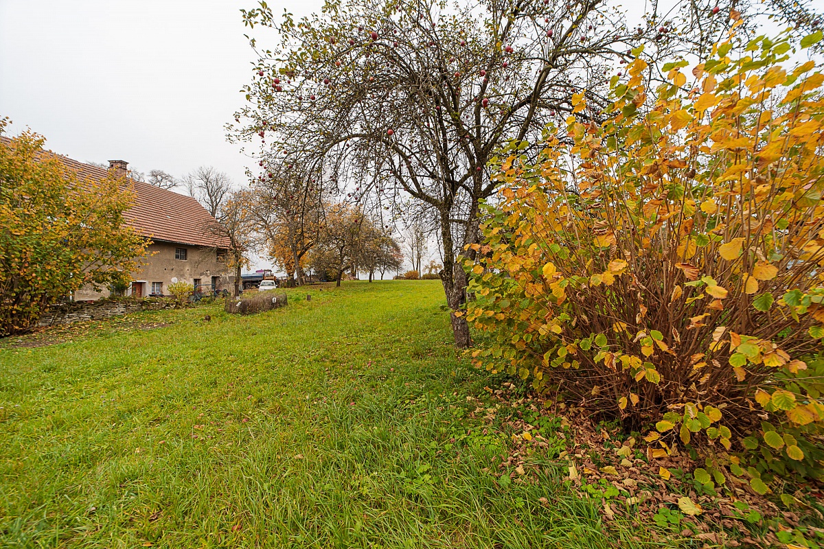 Prodej stavebního pozemku v Jehnědí - PRODÁNO | Michal Hrdina