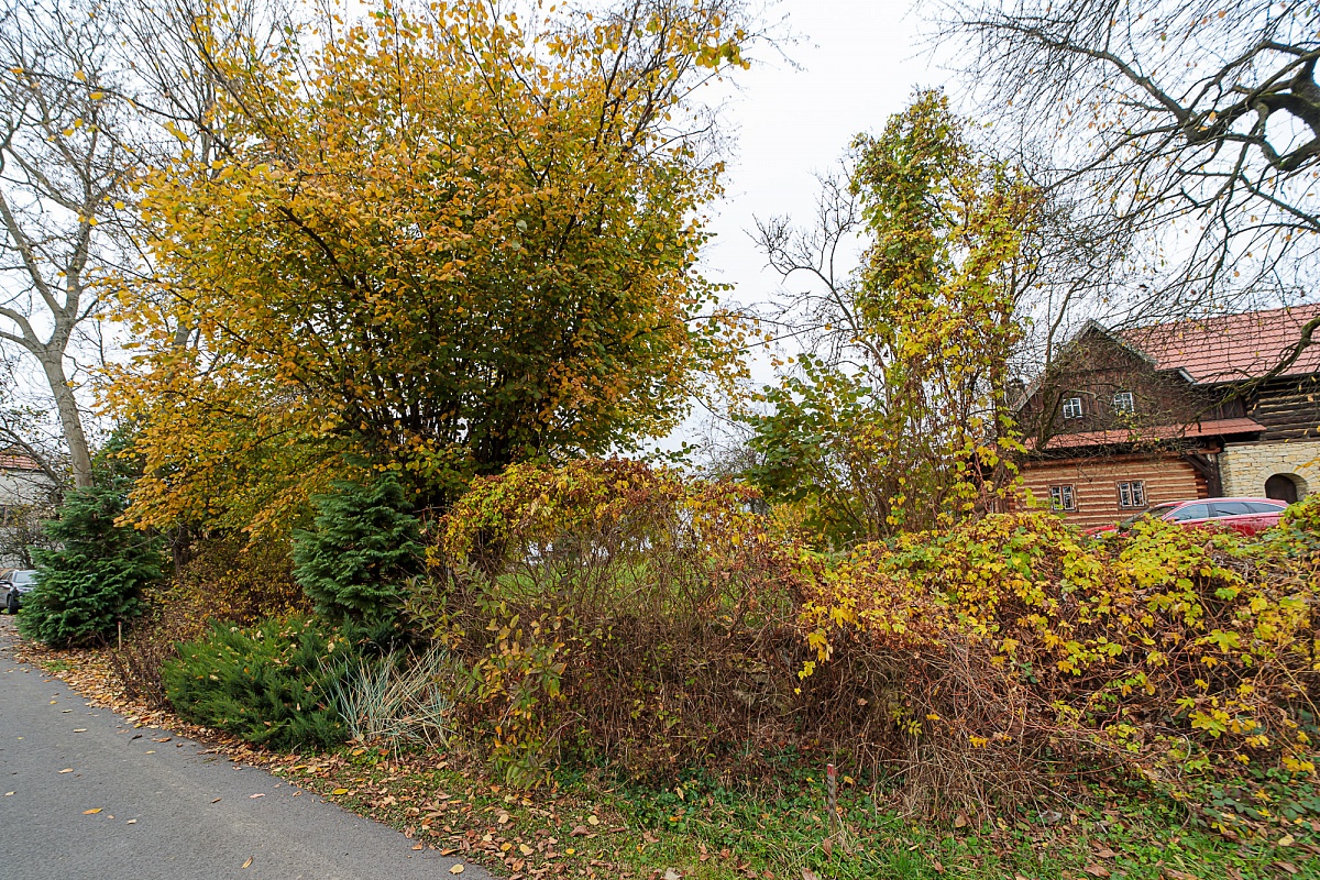 Prodej stavebního pozemku v Jehnědí - PRODÁNO | Michal Hrdina